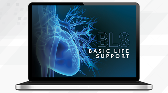 AHA BLS Provider (CPR) - Sable Altura